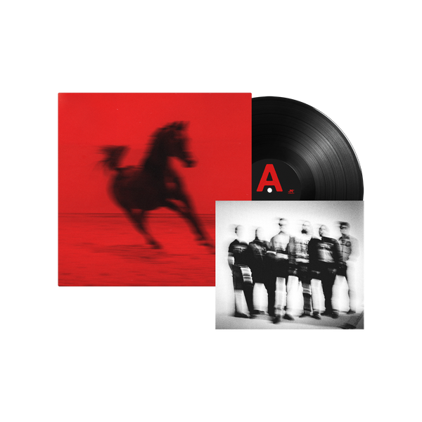 BUCK: Vinyl LP + Signed Art Card - The Sound of Vinyl