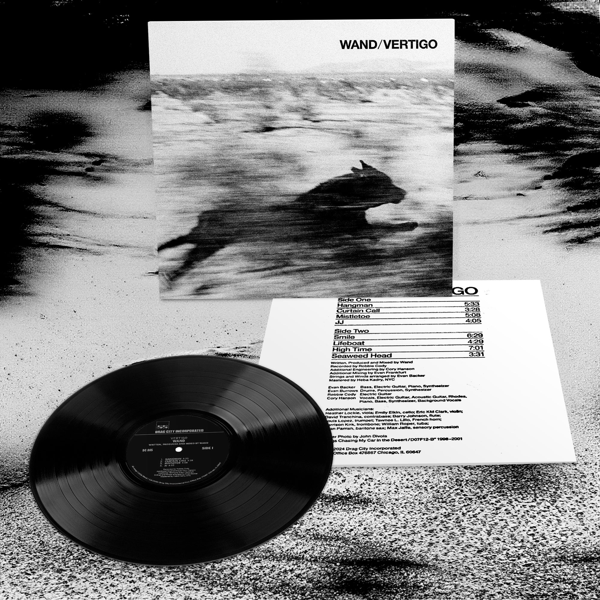 Wand - Vertigo: Vinyl LP - The Sound of Vinyl