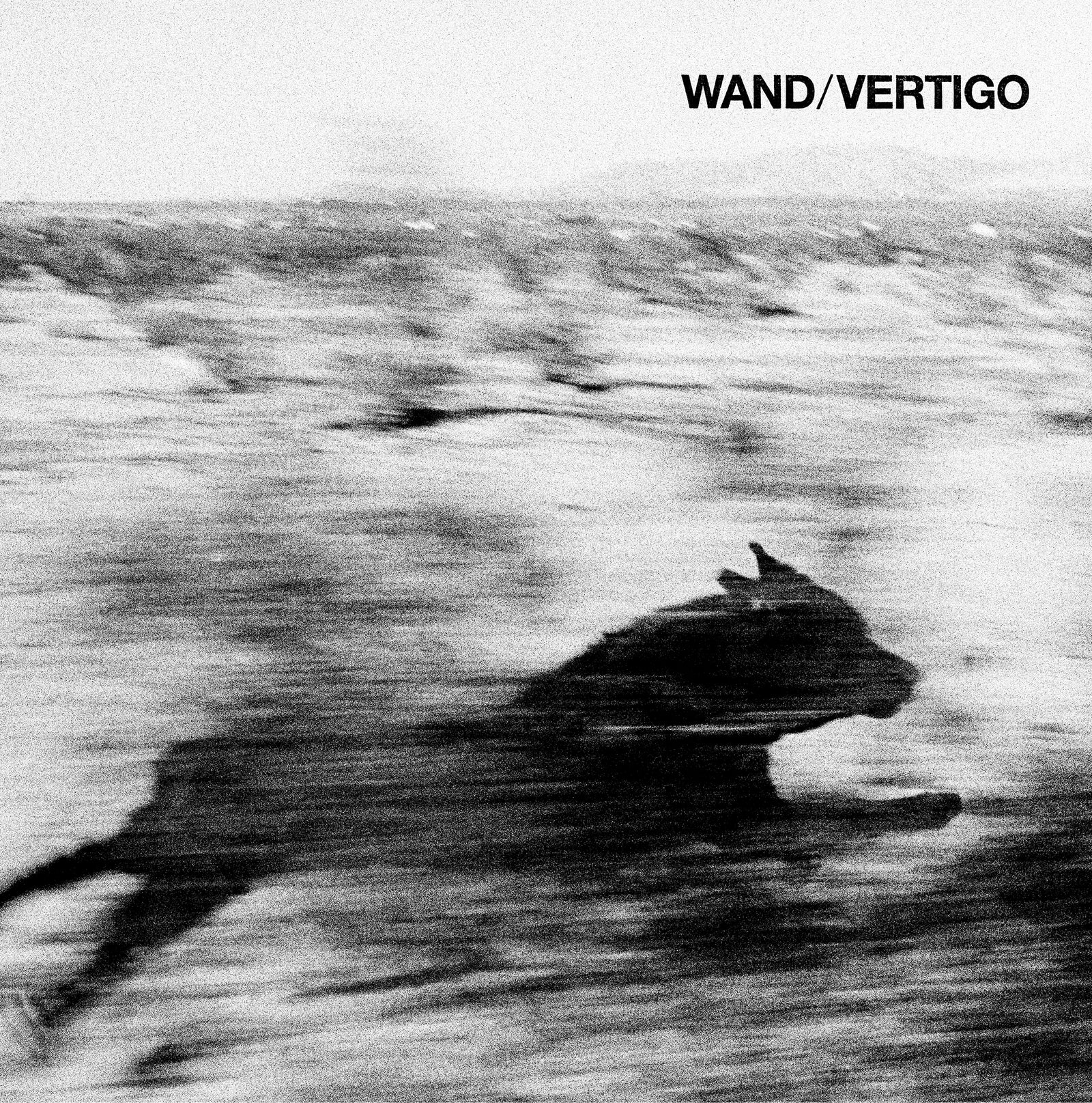 Wand - Vertigo: Vinyl LP - Sound of Vinyl