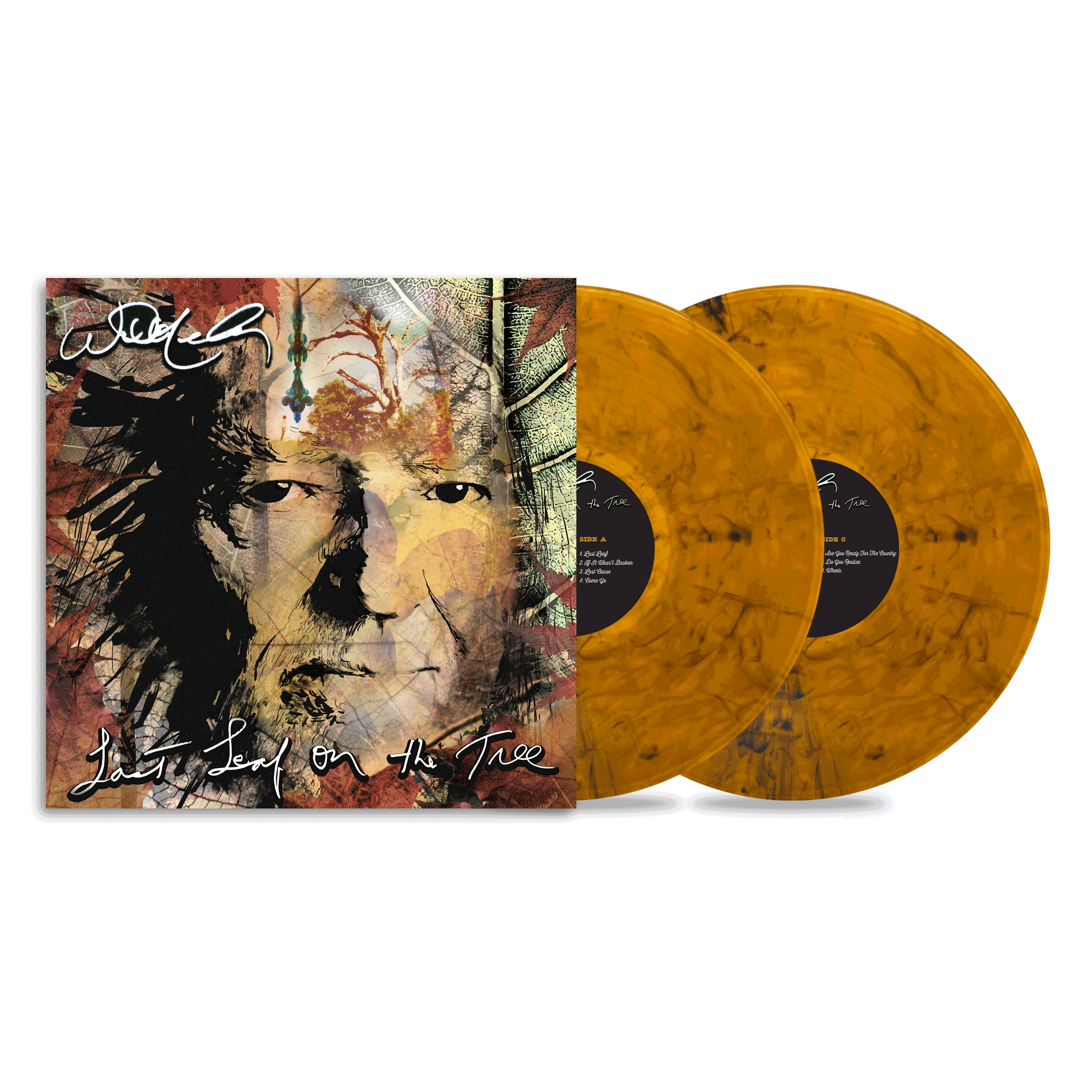 Willie Nelson - Last Leaf of the Tree: Amber Vinyl 2LP - Sound of Vinyl