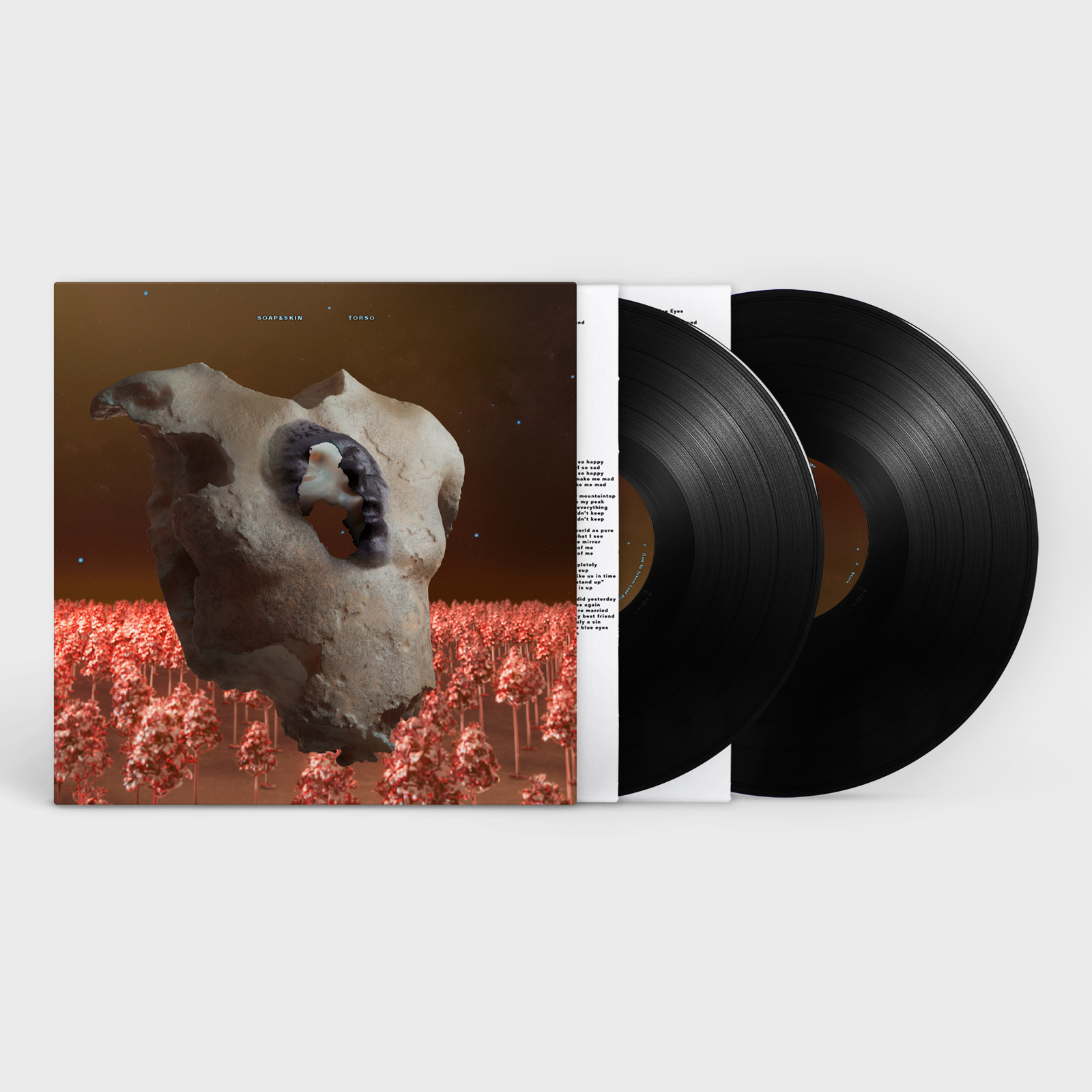 Soap&Skin - TORSO: Vinyl 2LP - Sound of Vinyl